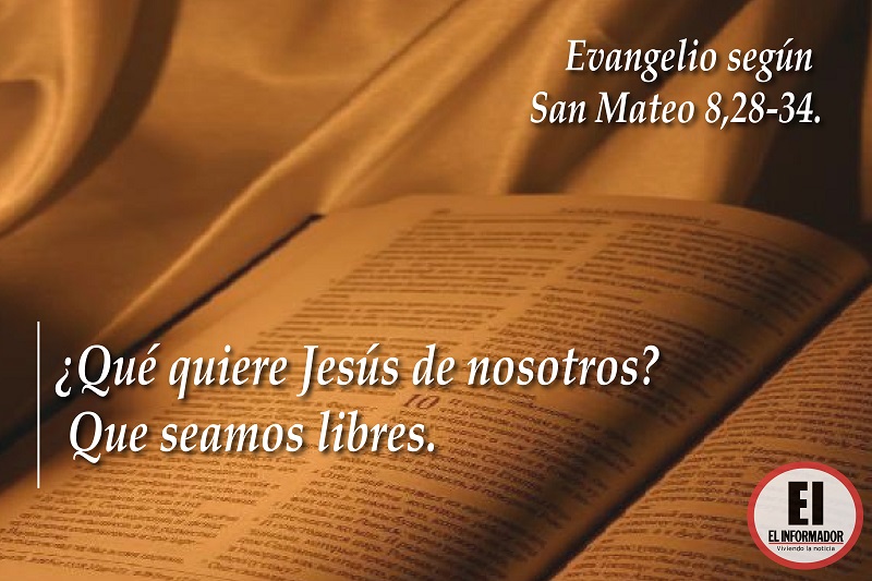 Evangelio según San Mateo 8,28-34.