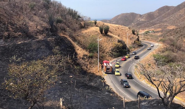 Incendio forestal acaba con tres hectáreas de bosque seco en el cerro ...