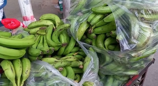 Precio del guineo verde está por las nubes: diferentes factores han ...