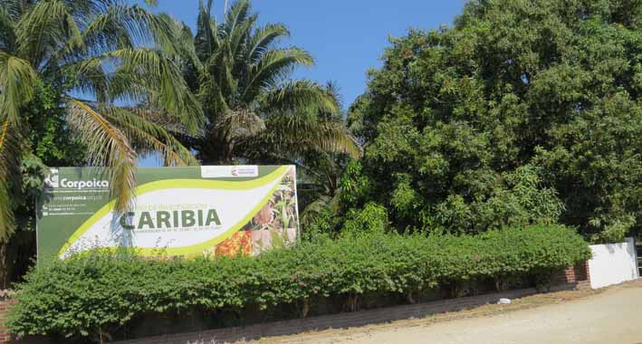 Caribia: Un centro de investigación al servicio de los productores de ...