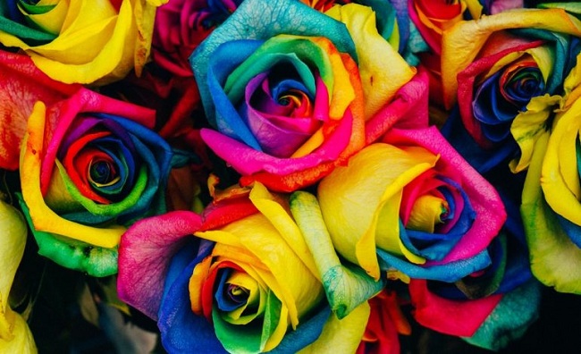 Los colores de la felicidad